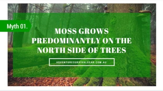 Wilderness Myths - Sorting the Facts from Fiction